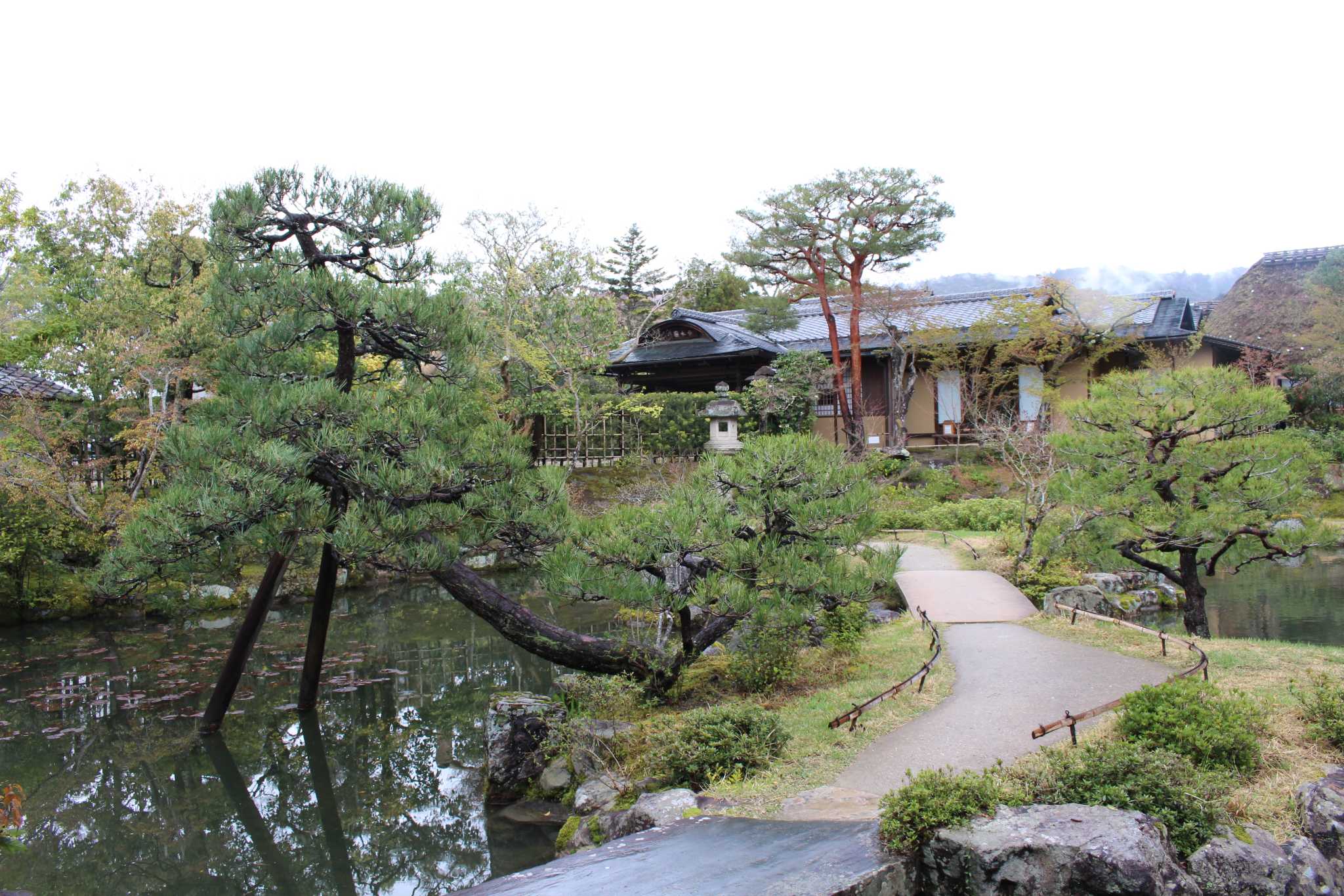 Saint - Vortex Gaming