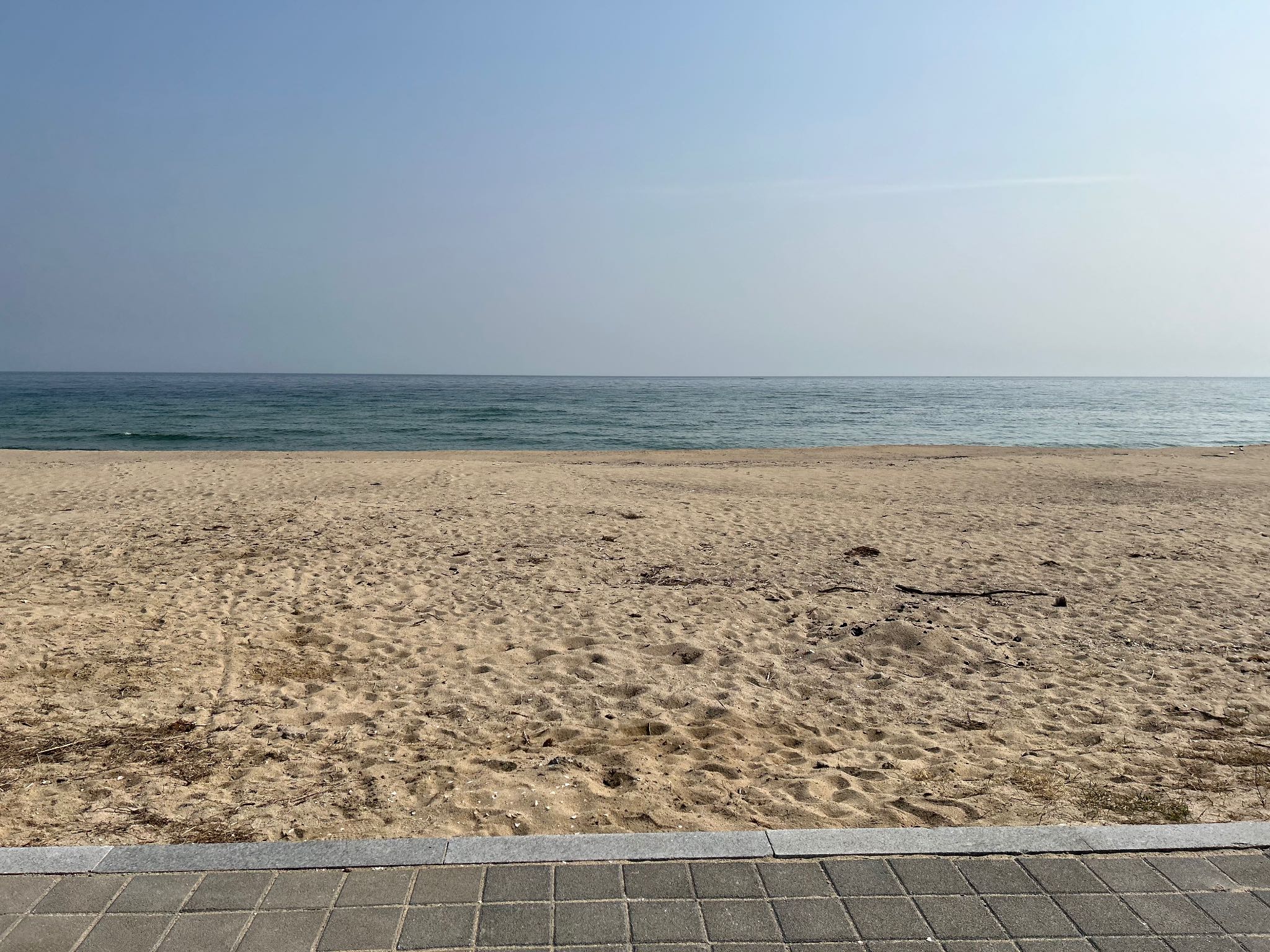 Vortex_Alliance5621 | Vortex Gaming