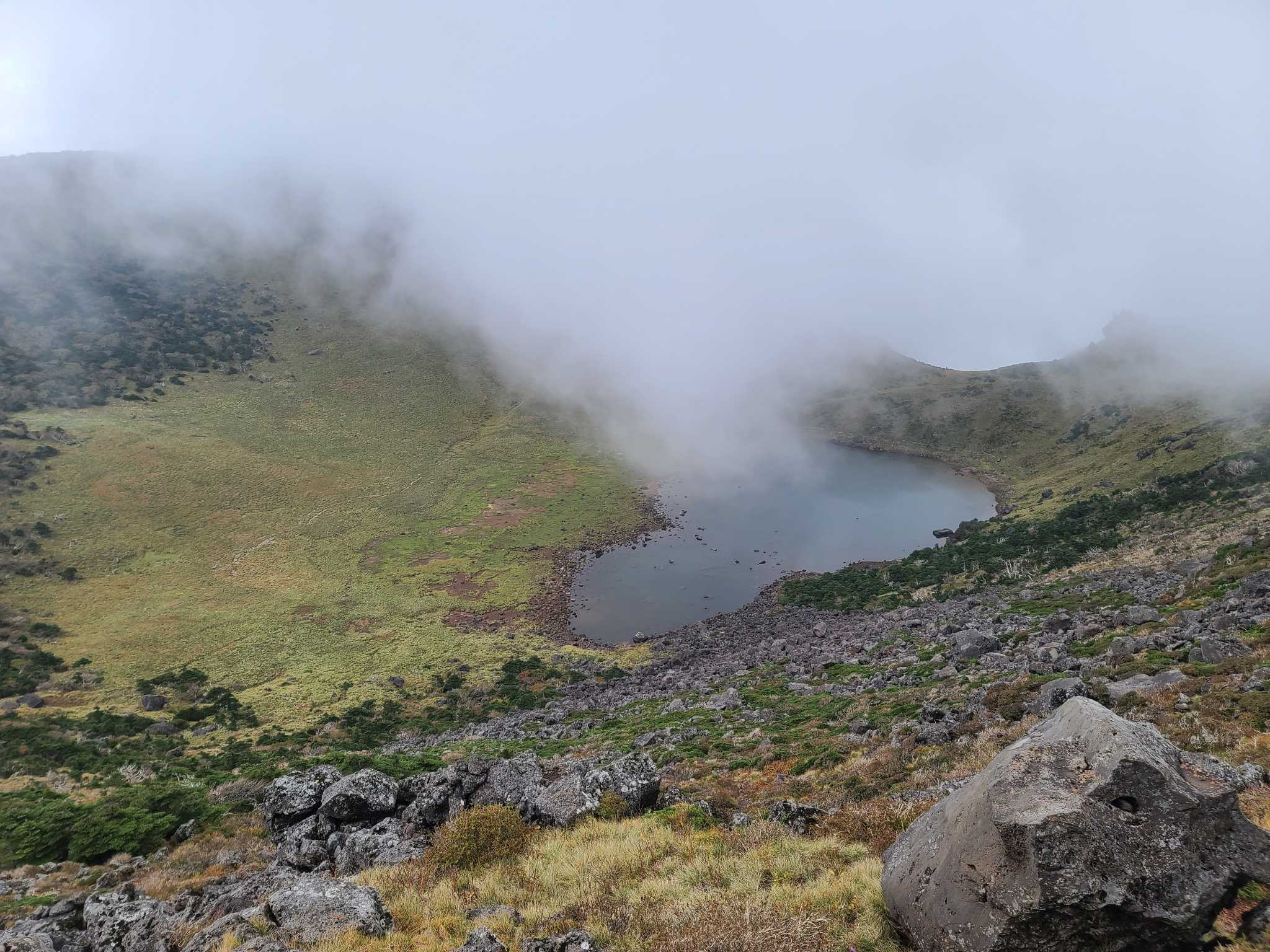 Saint - Vortex Gaming