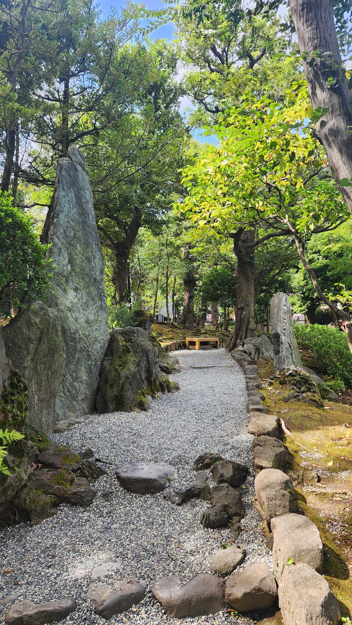 Saint - Vortex Gaming