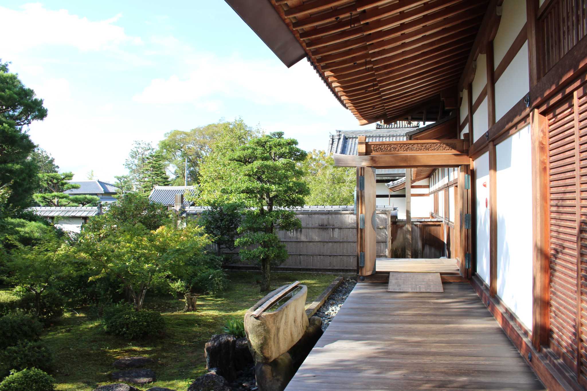 Saint - Vortex Gaming