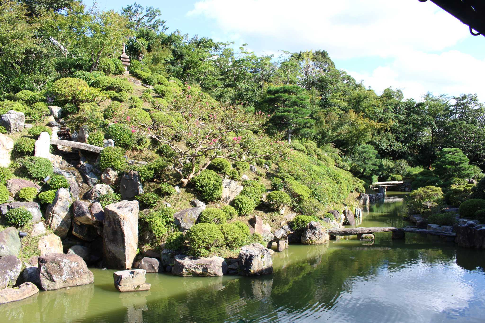 Saint - Vortex Gaming