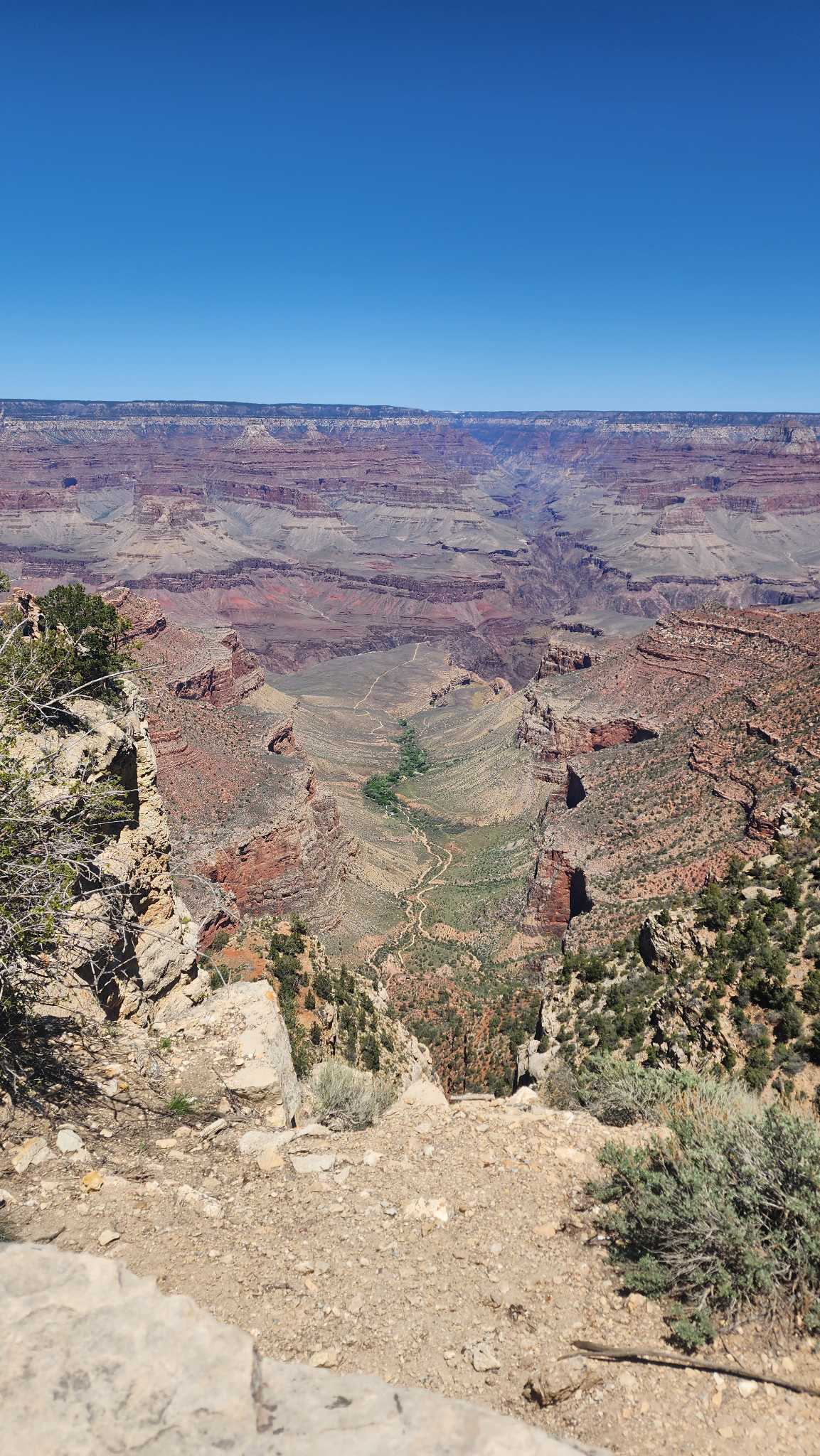 Saint - Vortex Gaming