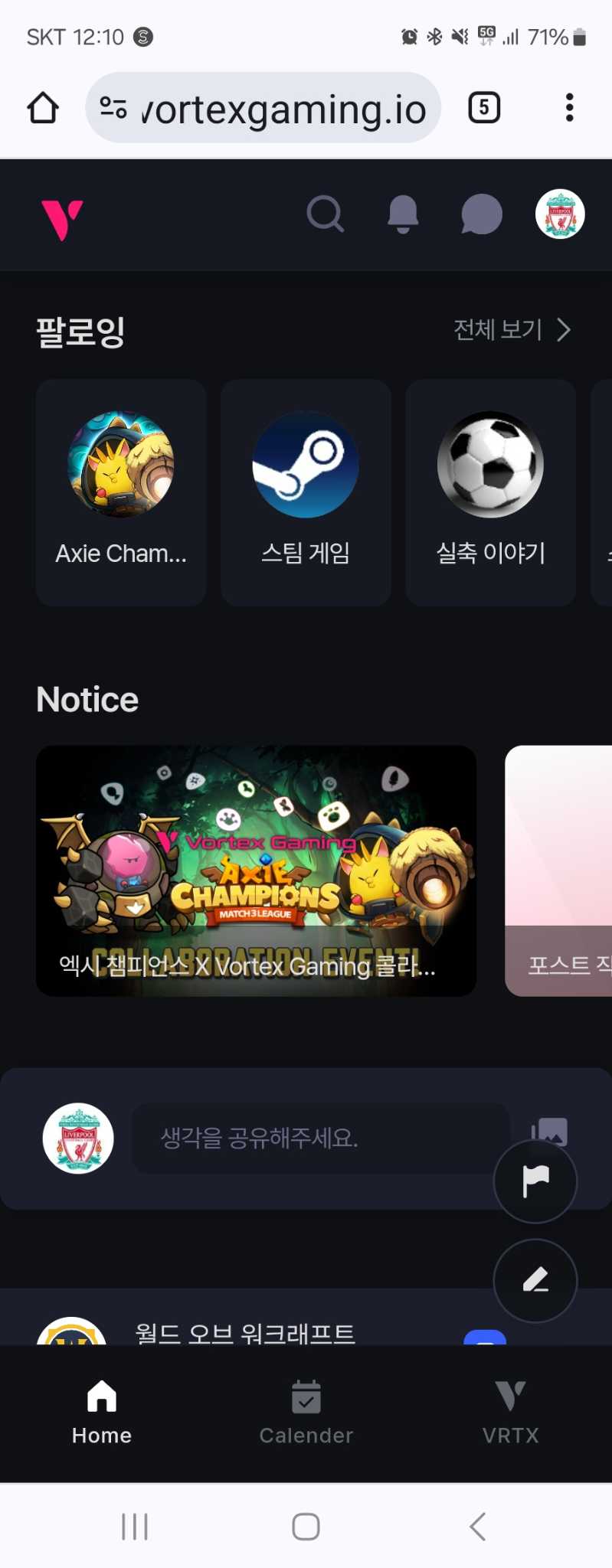 FLINT | 볼텍스 게이밍