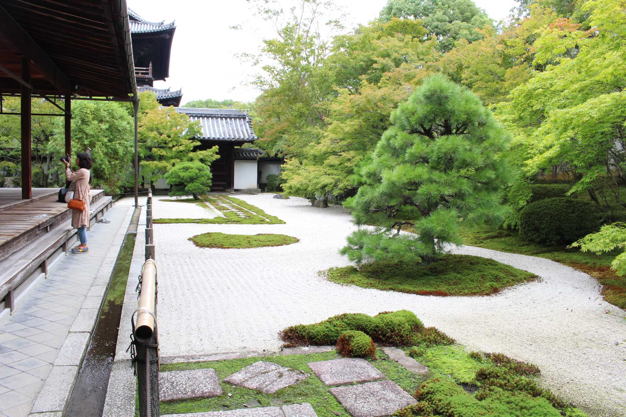 Saint - Vortex Gaming