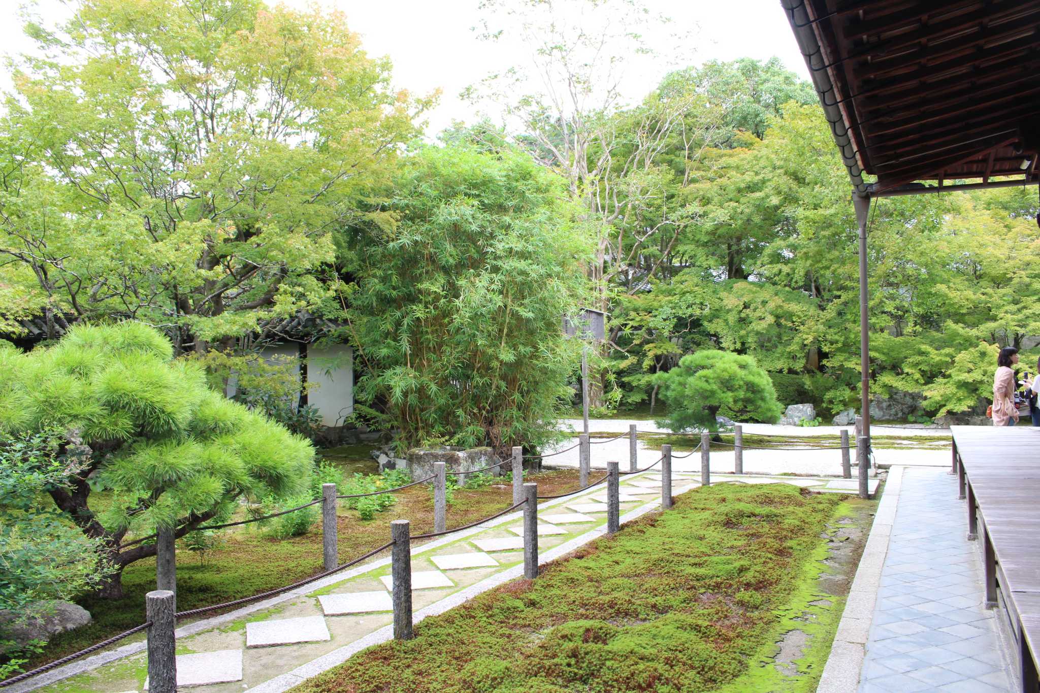 Saint - Vortex Gaming