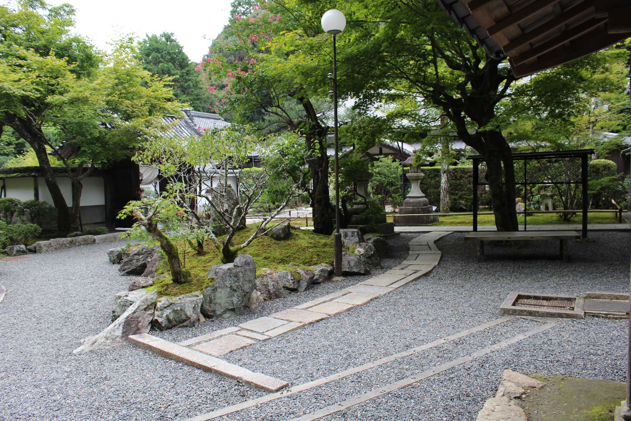 Saint - Vortex Gaming