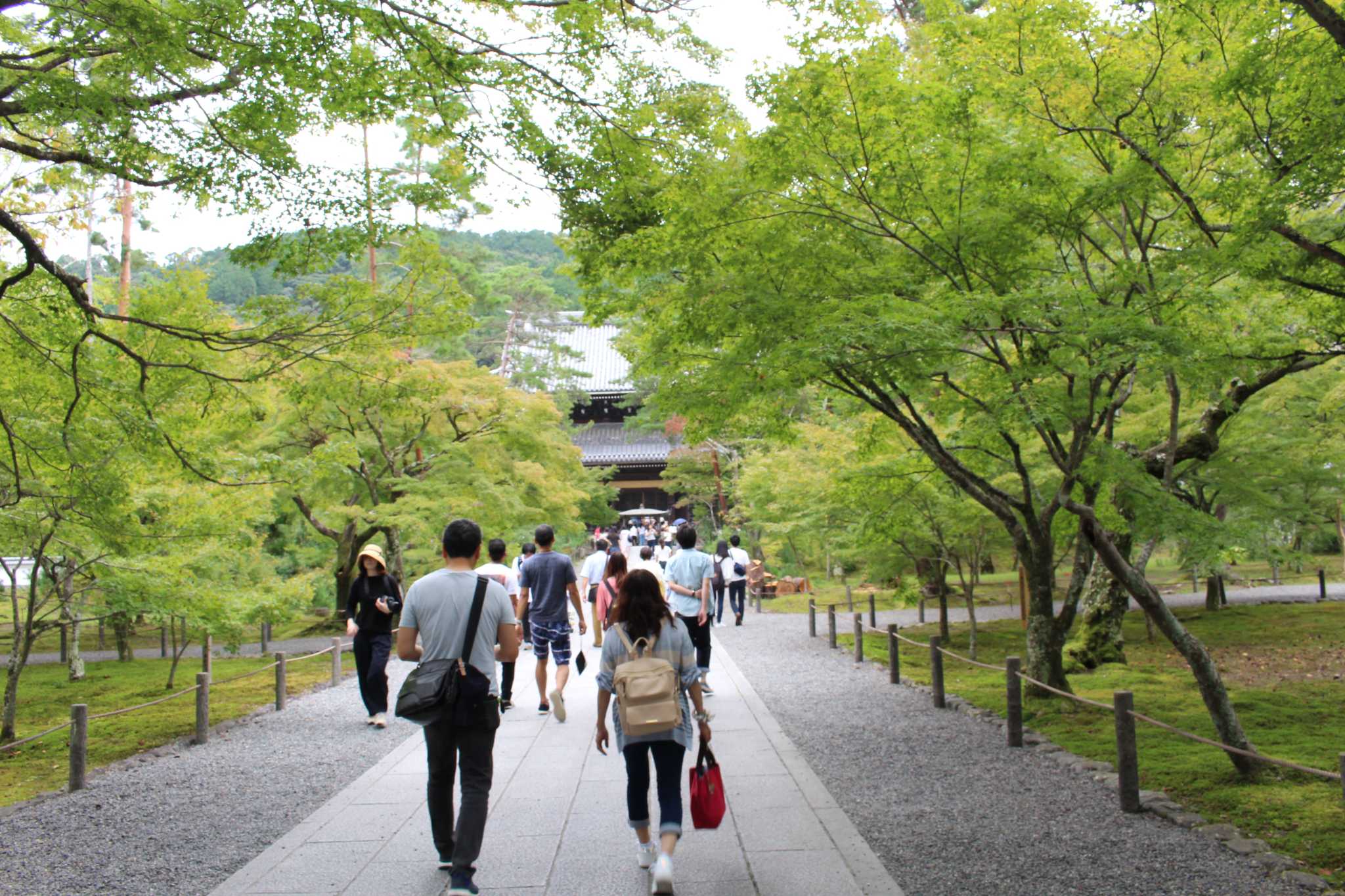 Saint - Vortex Gaming