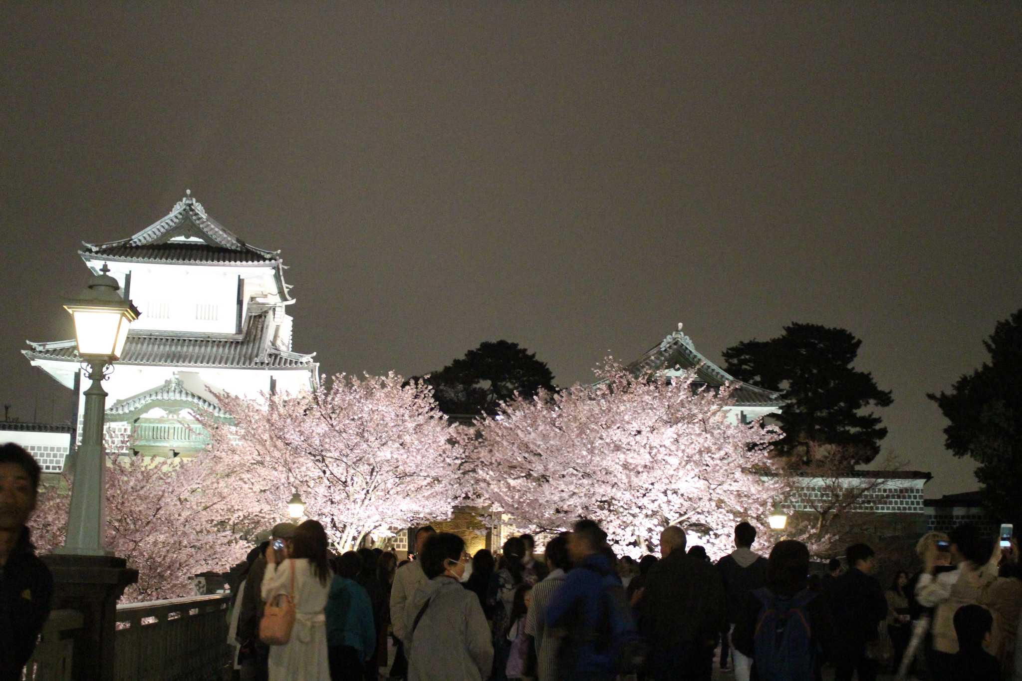 Saint - Vortex Gaming