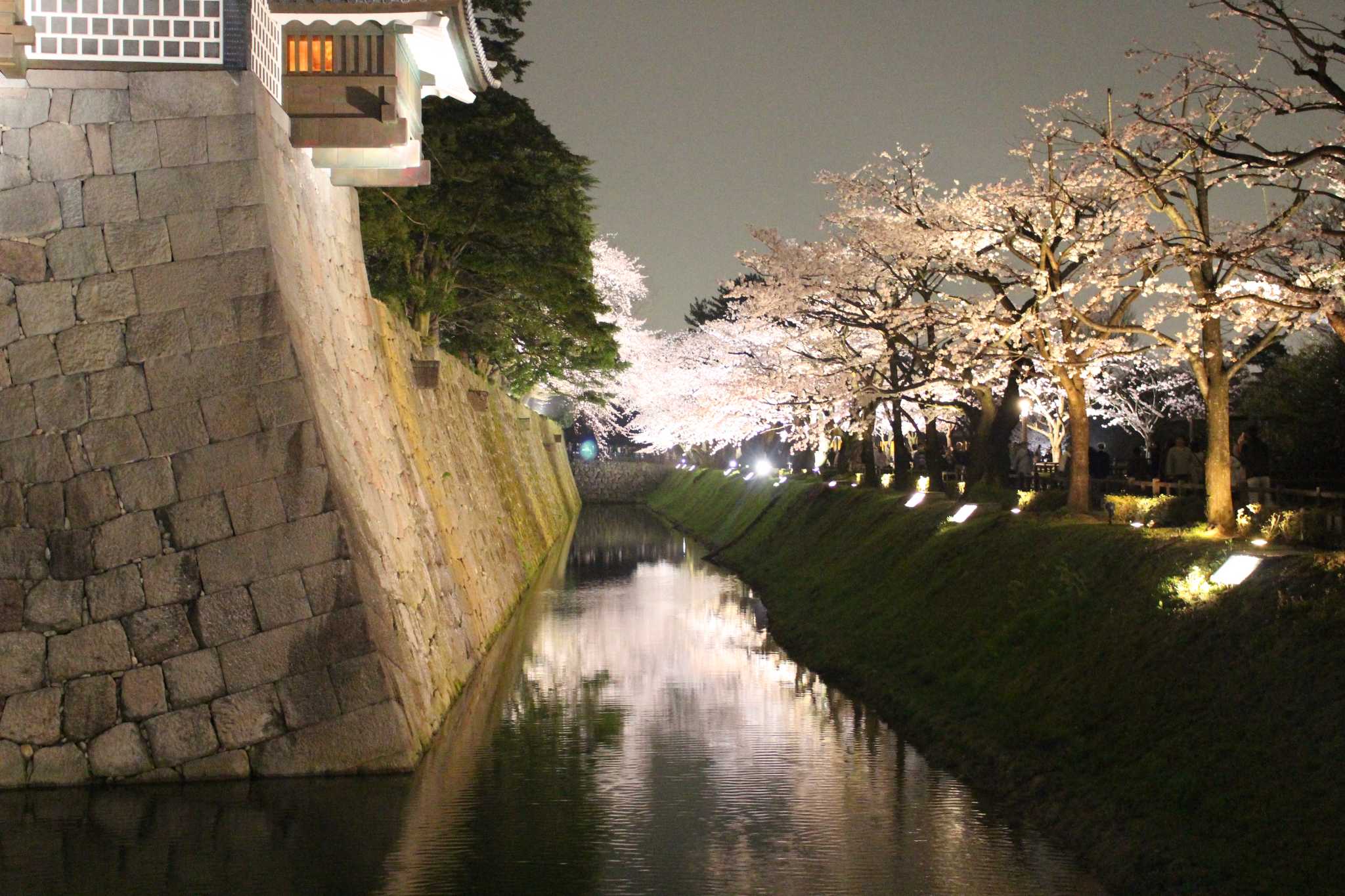 Saint - Vortex Gaming