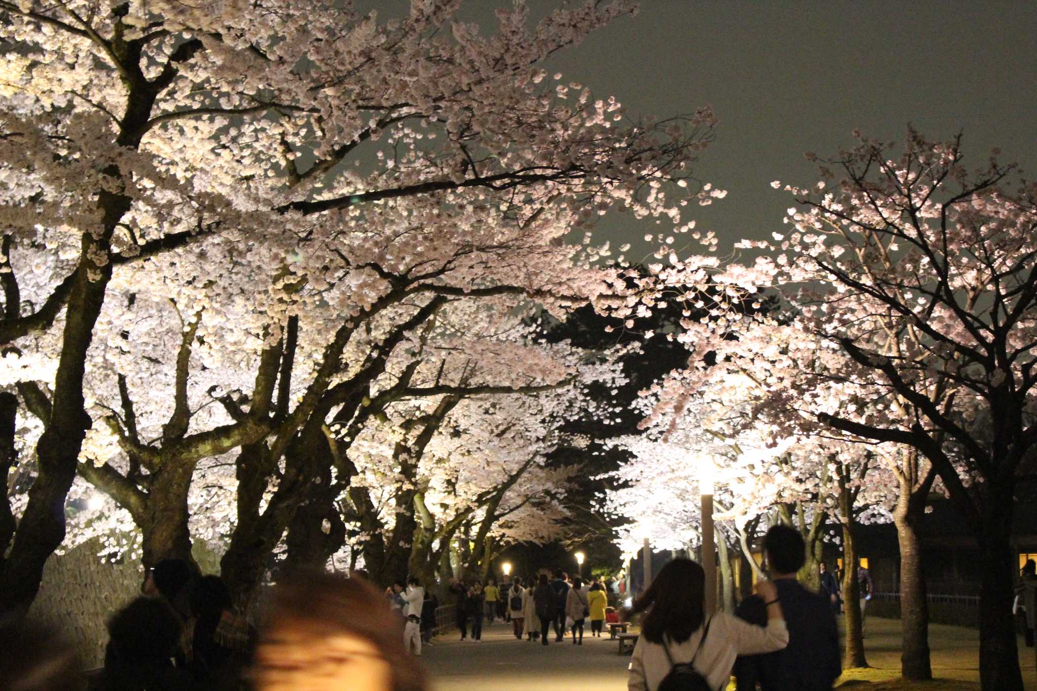 Saint - Vortex Gaming