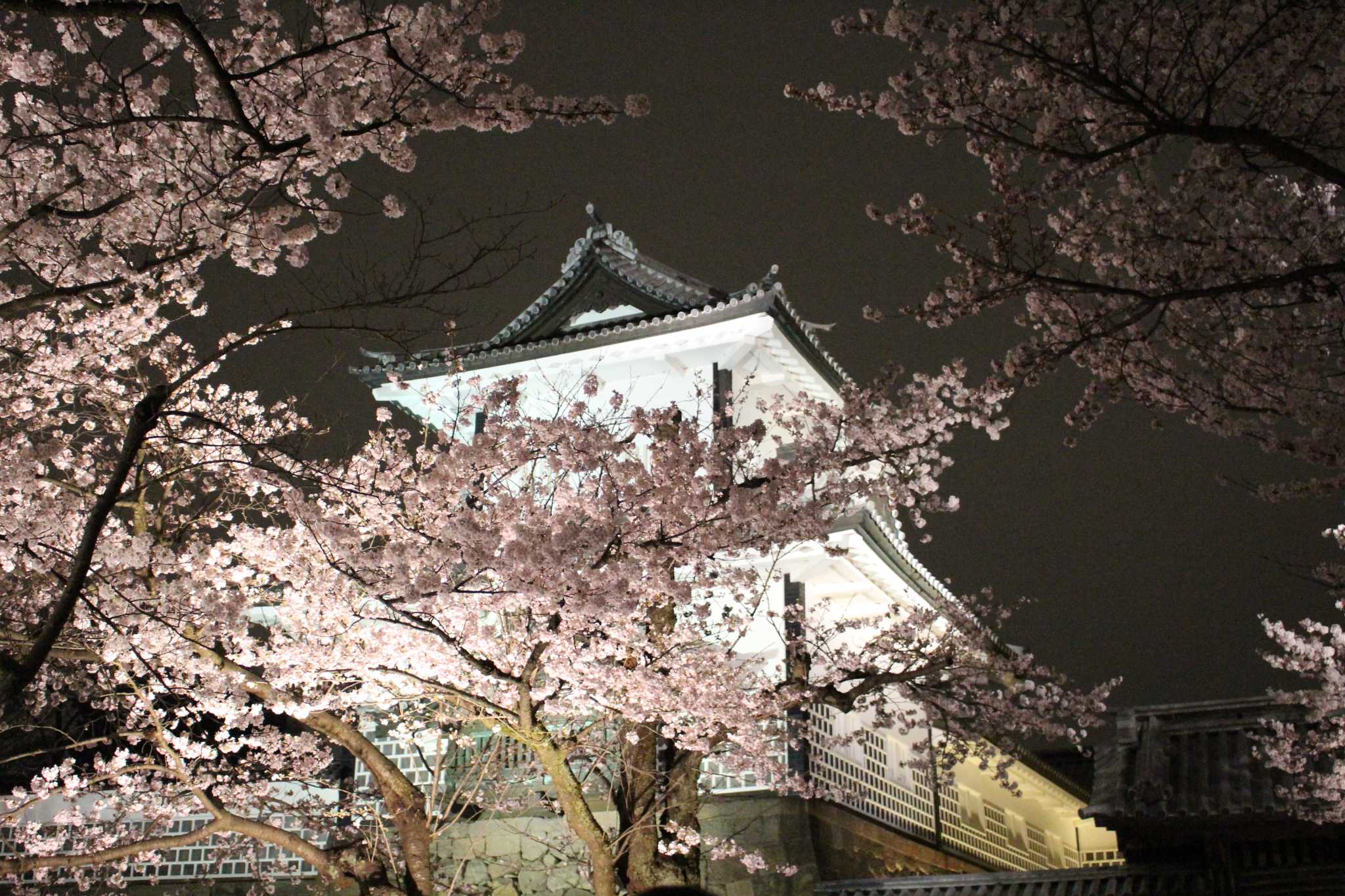 Saint - Vortex Gaming