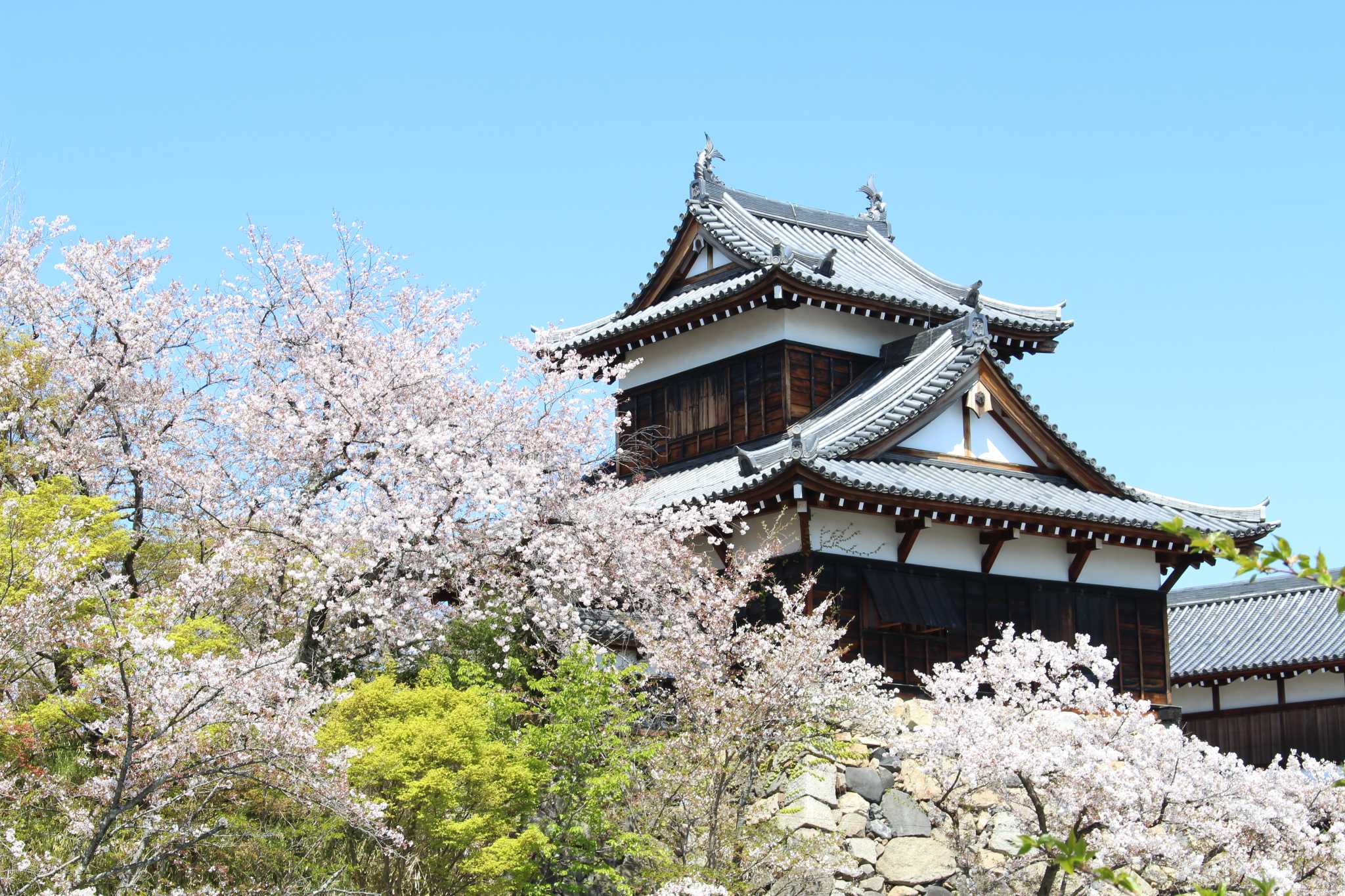 나라현의 고리야마성 (郡山城). 잘 알려진 성은 아니지만, 호류지 금당벽화를 보고 나라시 | Vortex Gaming