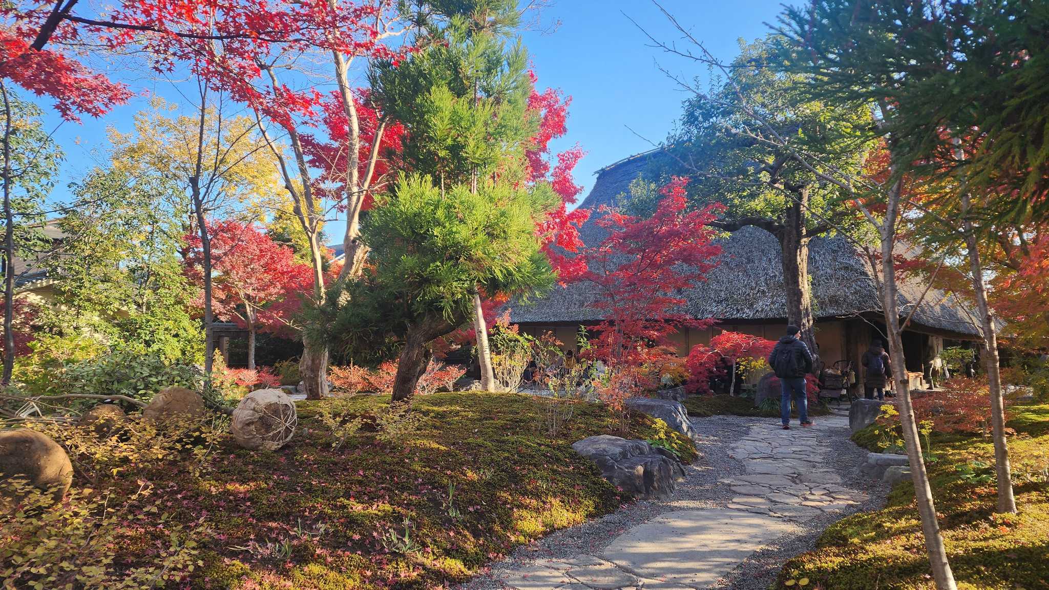 Saint - Vortex Gaming