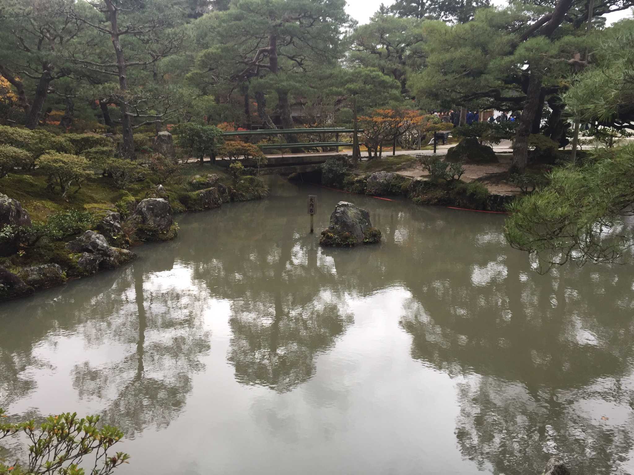 Saint - Vortex Gaming