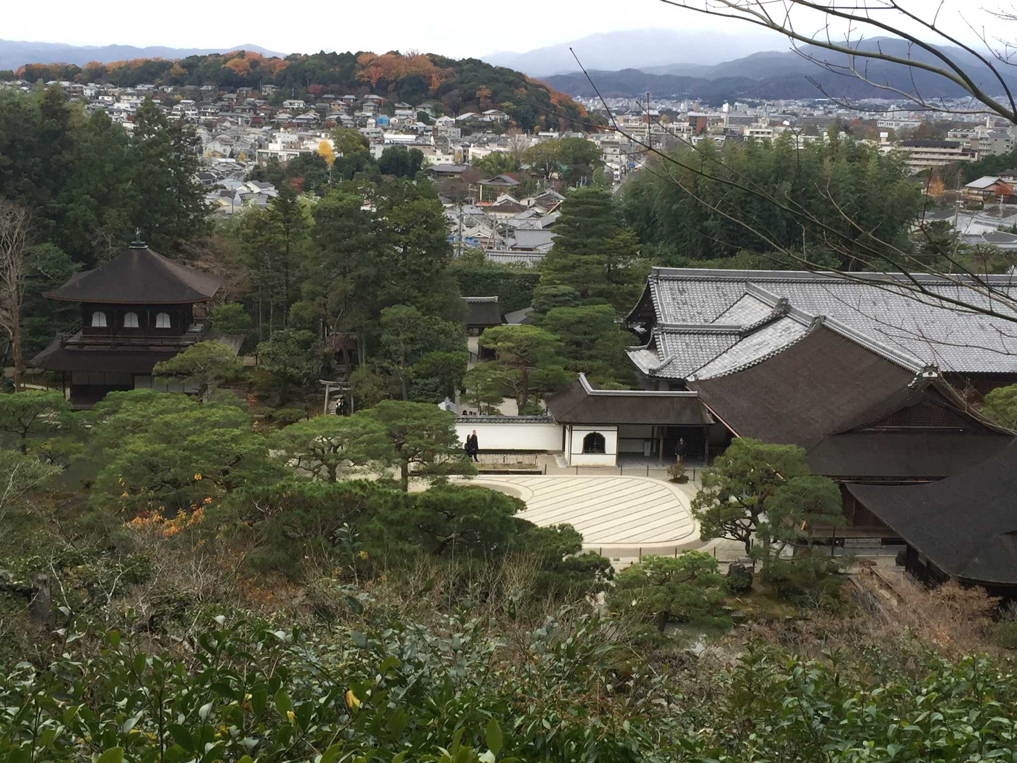 Saint - Vortex Gaming