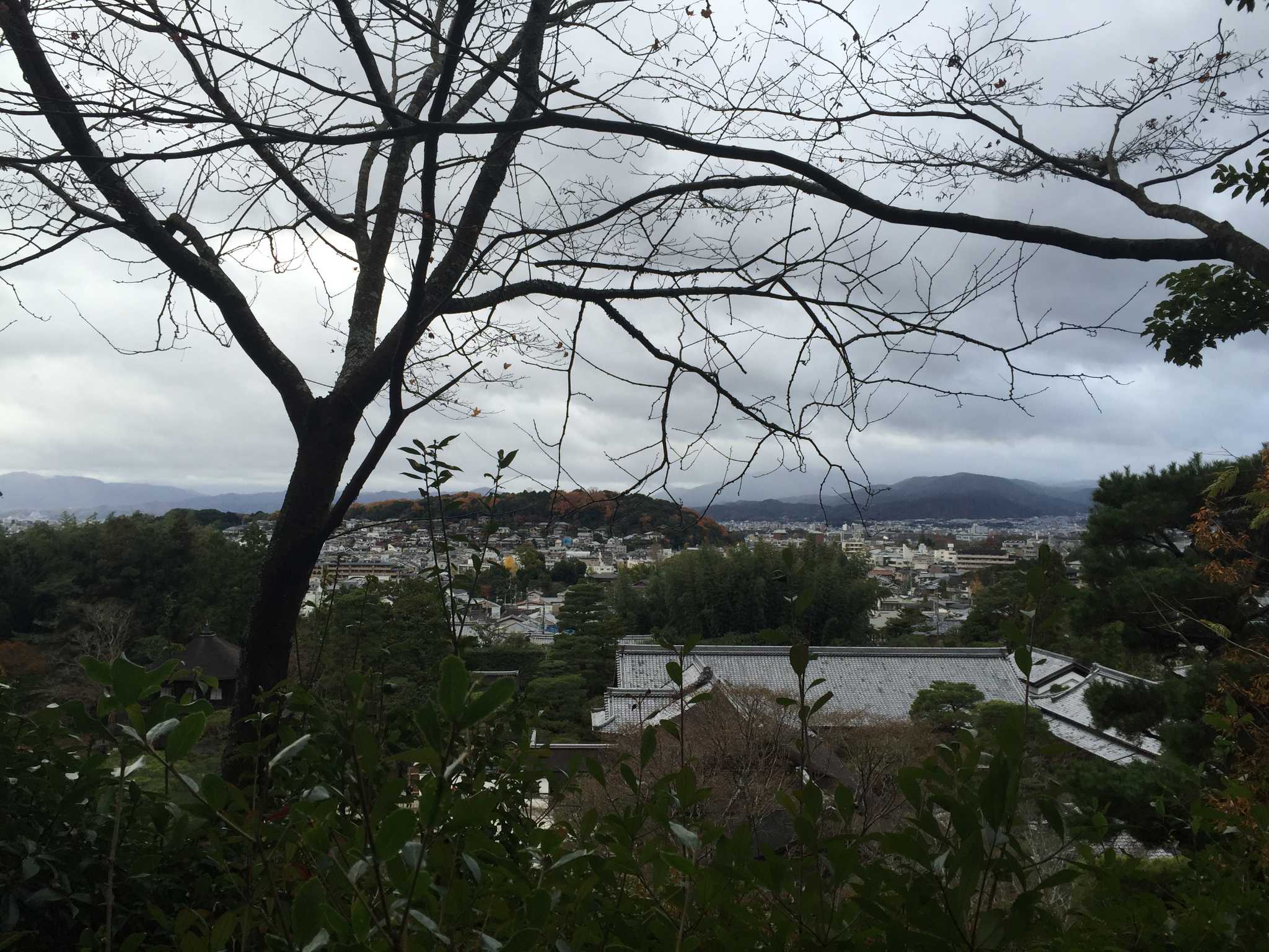 Saint - Vortex Gaming