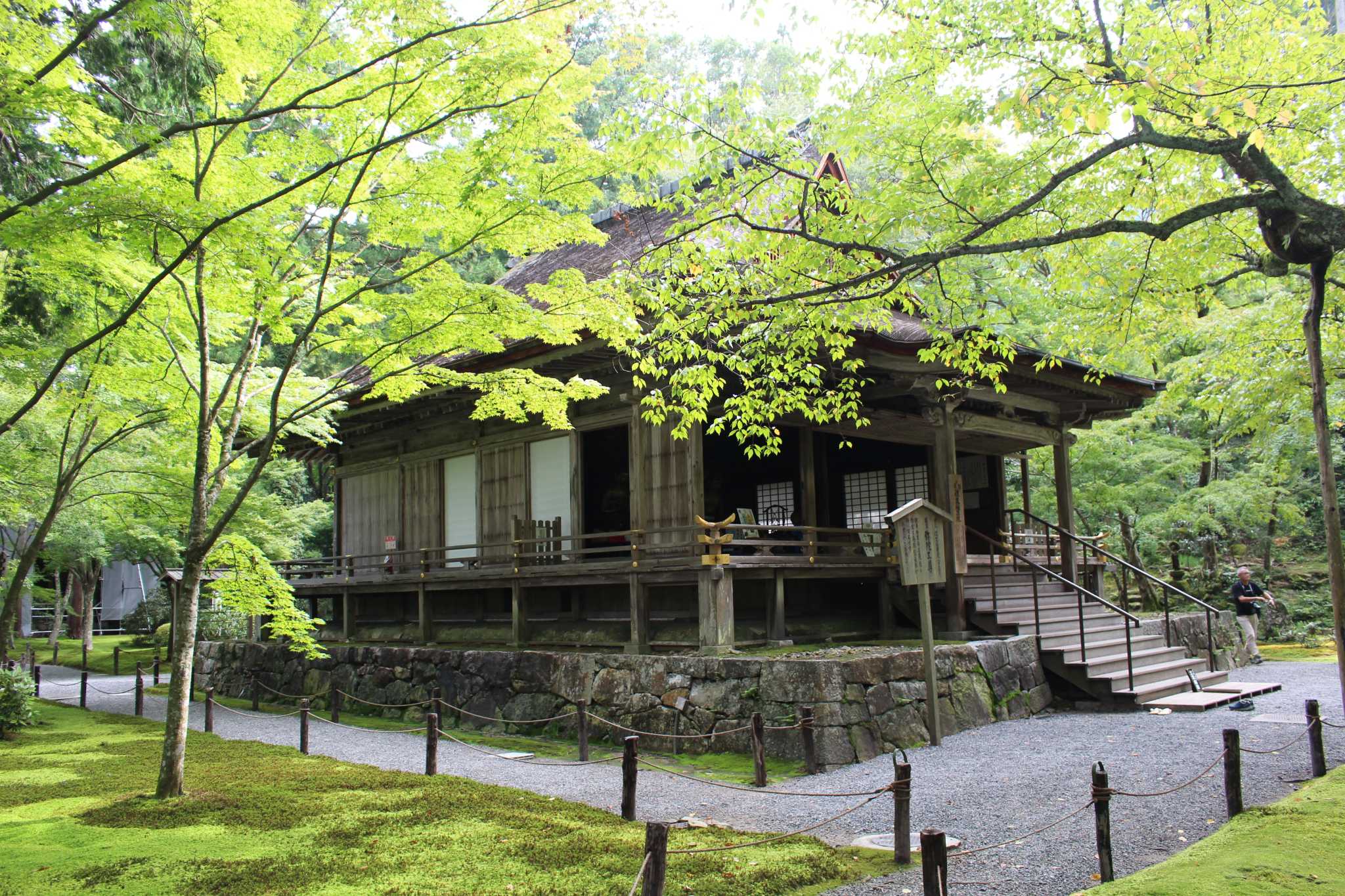 Saint - Vortex Gaming