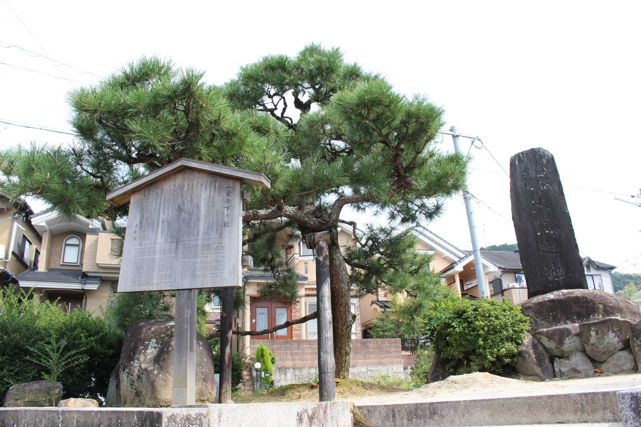 Saint - Vortex Gaming