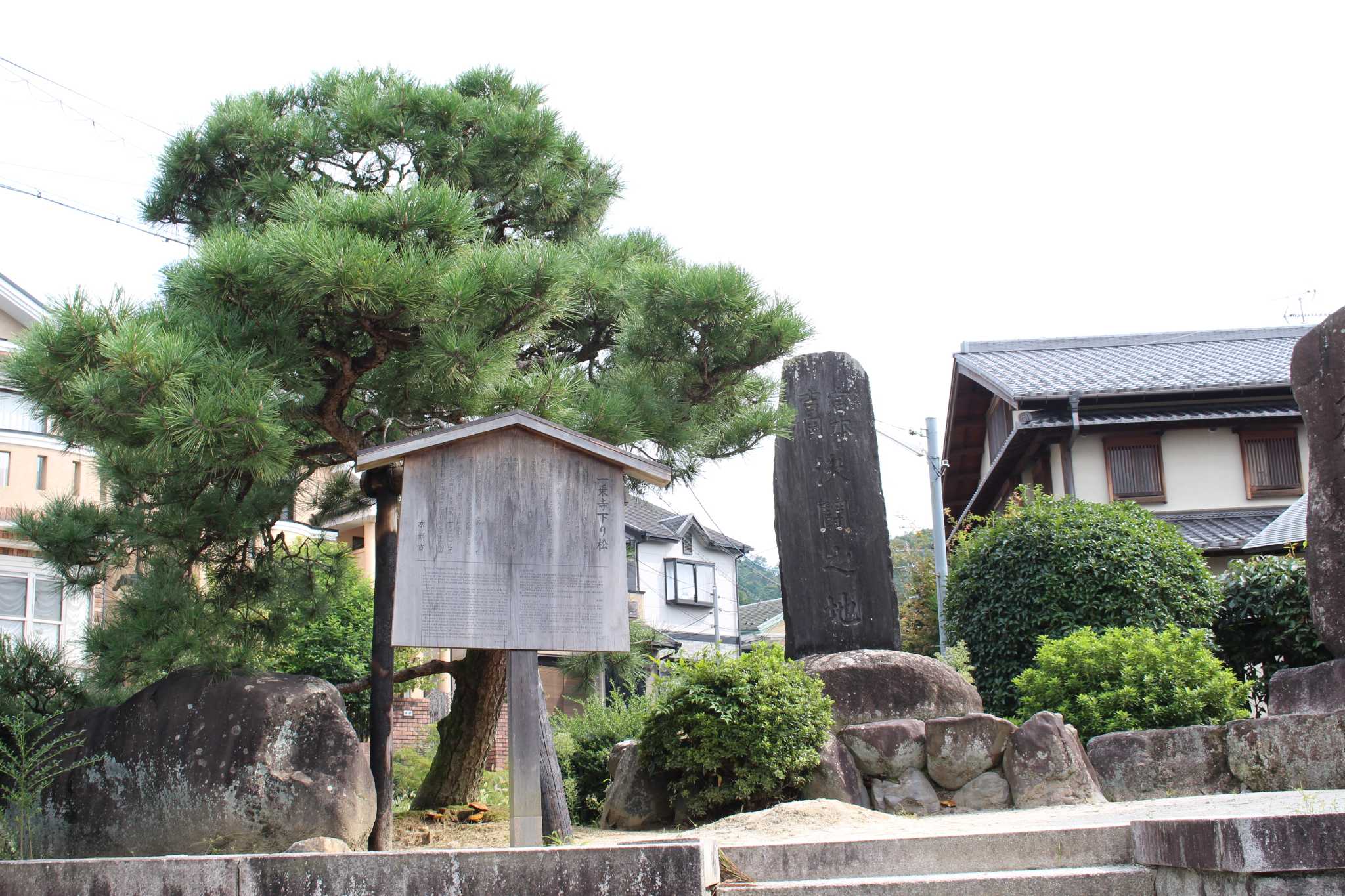 Saint - Vortex Gaming