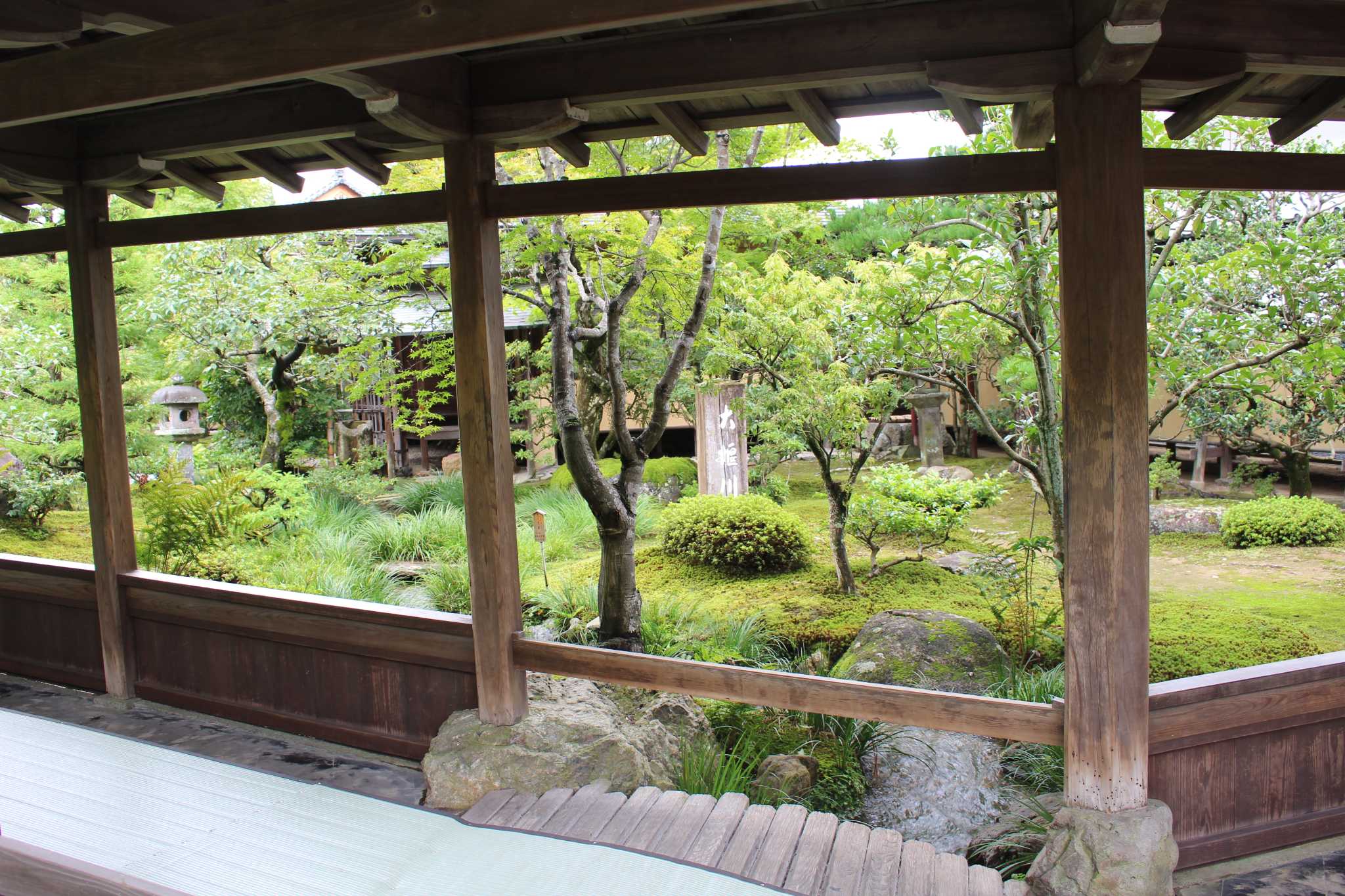 Saint - Vortex Gaming