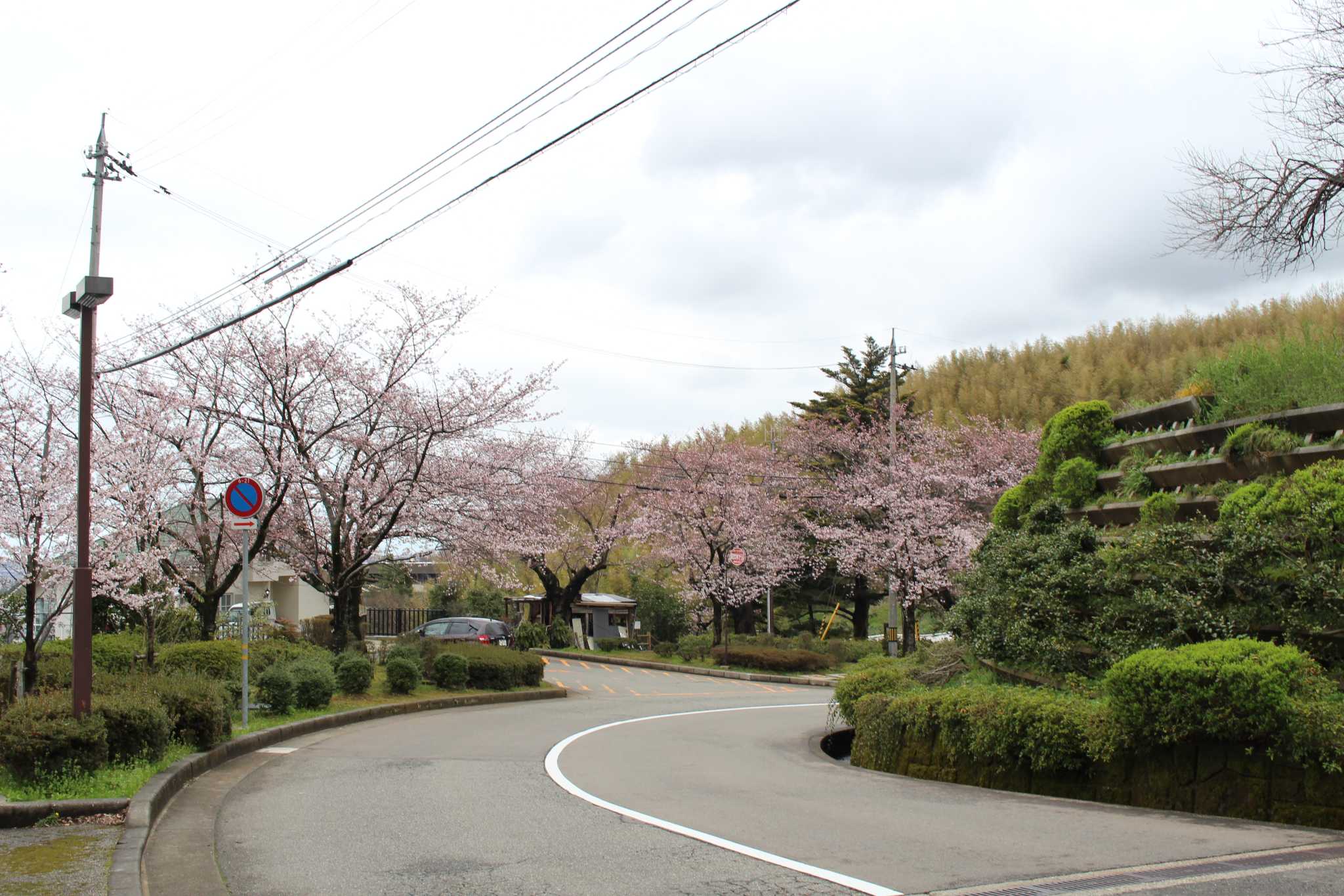 Saint - Vortex Gaming