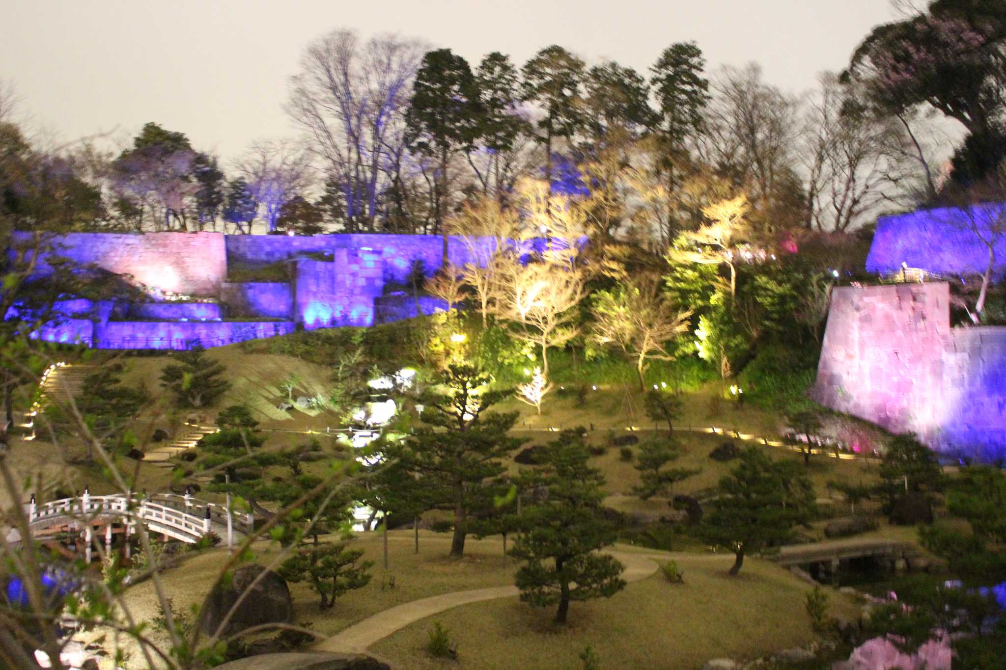교쿠센인마루 (Gyokusen-inmaru Park, 玉泉院丸庭園) 라이트업. 벚꽃이 만 | 볼텍스 게이밍