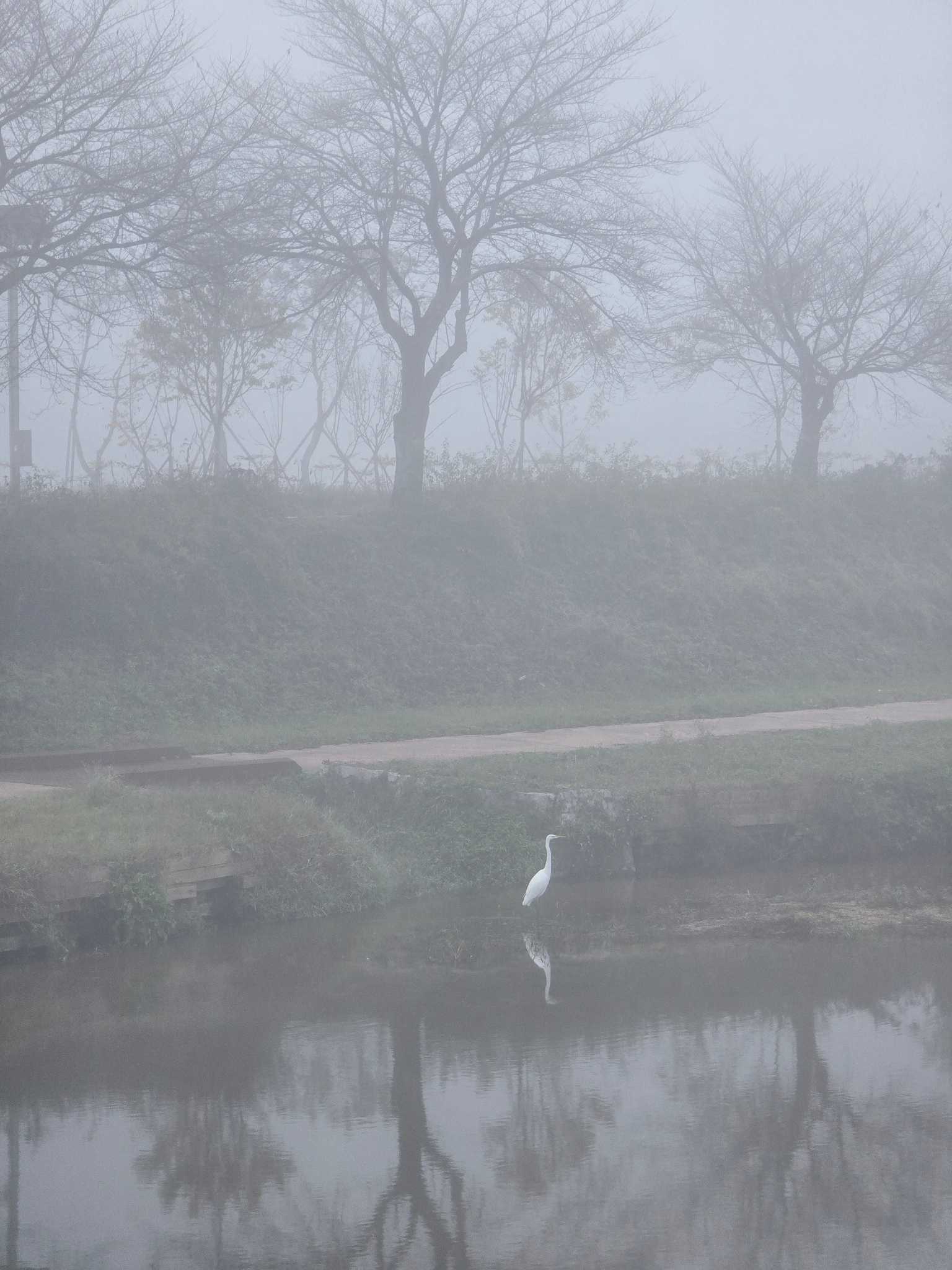 Saint - Vortex Gaming